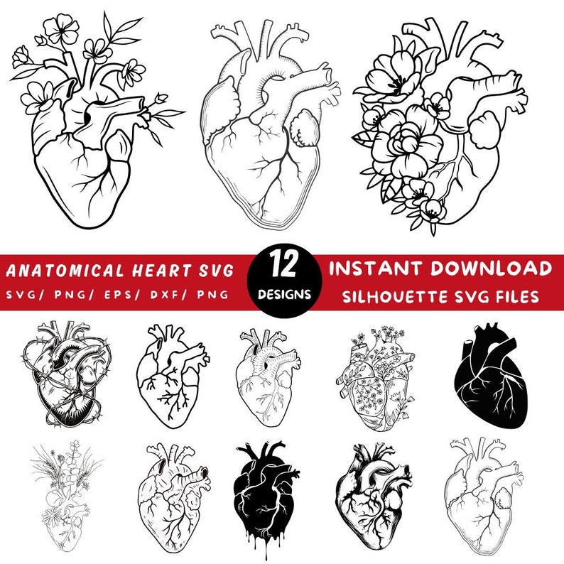 Heart Svg, Anatomical Heart, Medical Svg, Flower Heart Svg, Wildflower ...