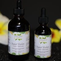 Desert Willow Flower Essence Floral Infusion in 1 Oz Glass Dropper ...