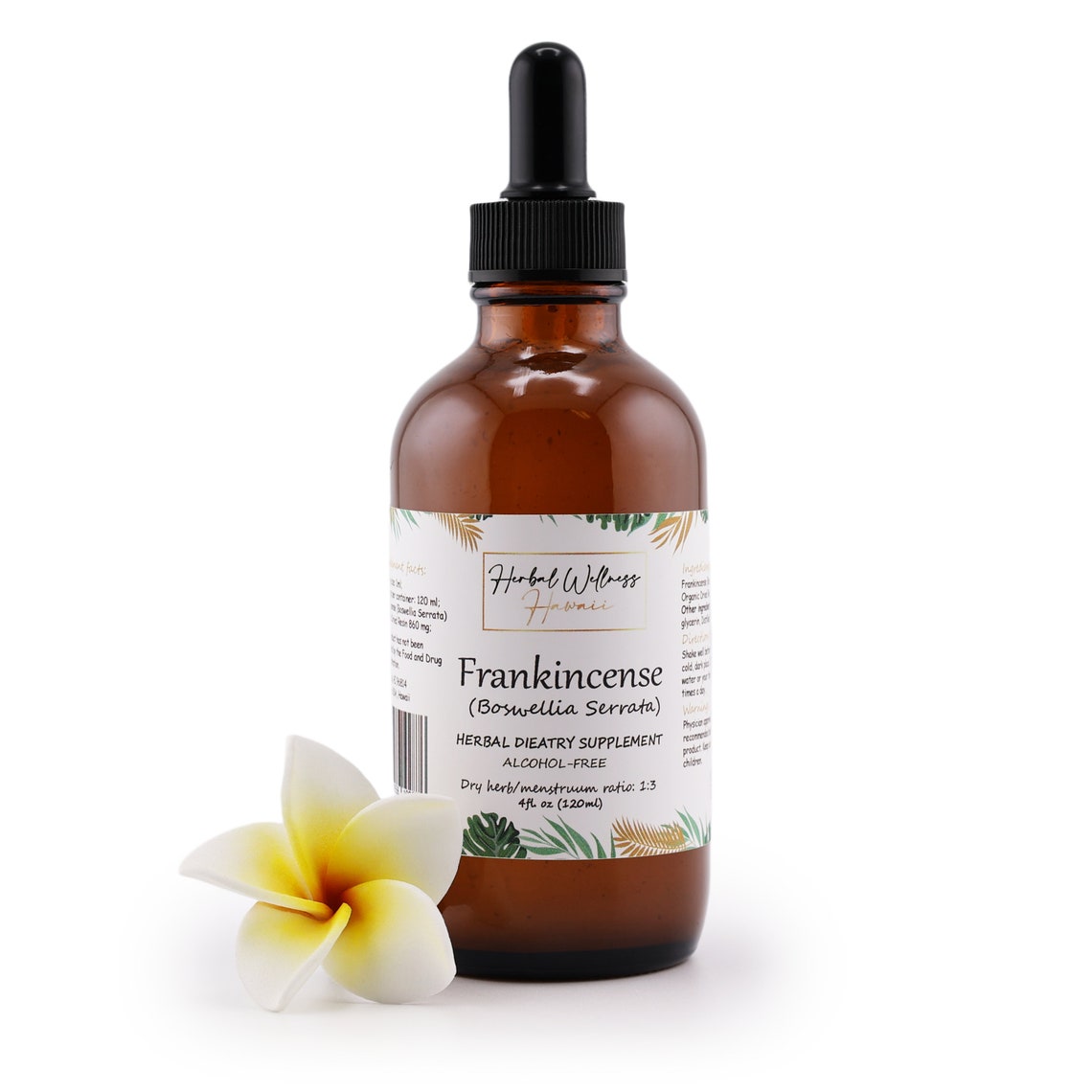 Frankincense Liquid Extract - Herbal Wellness Supplement, Boswellia ...