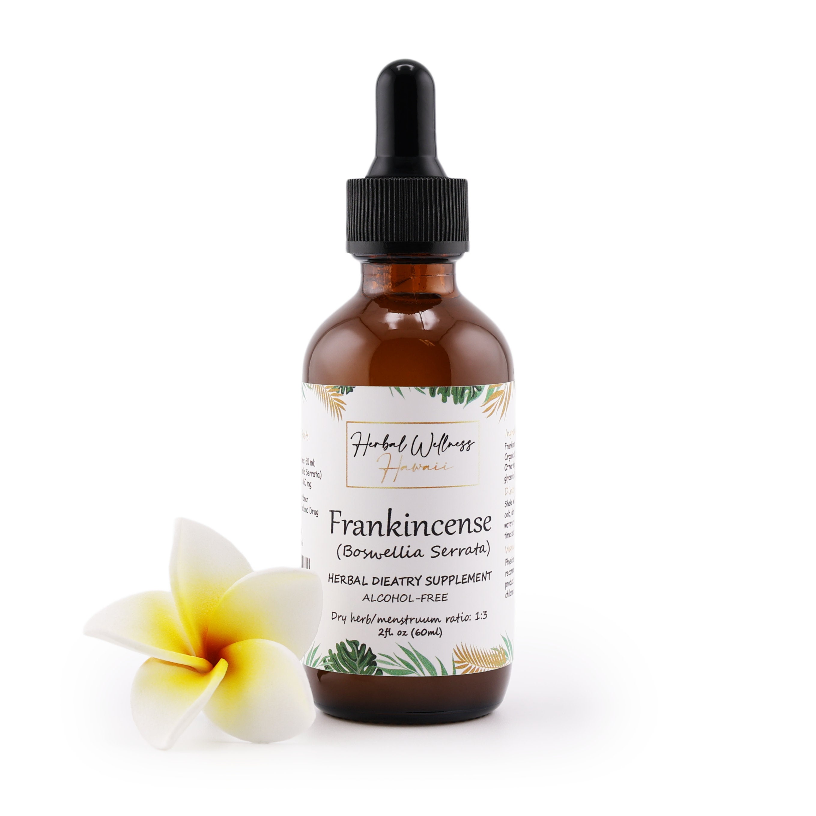 Frankincense Liquid Extract - Herbal Wellness Supplement, Boswellia ...