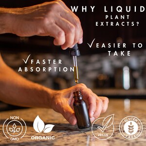Frankincense Liquid Extract - Herbal Wellness Supplement, Boswellia ...