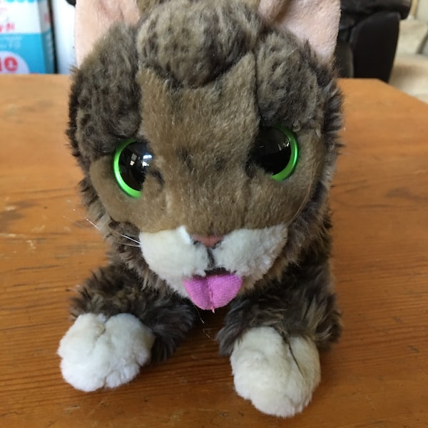 Lil Bub - Etsy