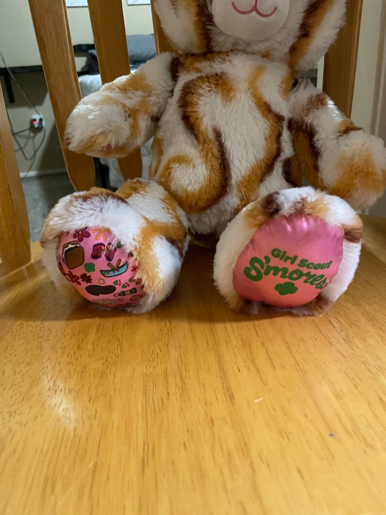 Build A Bear 15 Plush Girl Scouts Smores Caramel Swirls Bear - Etsy