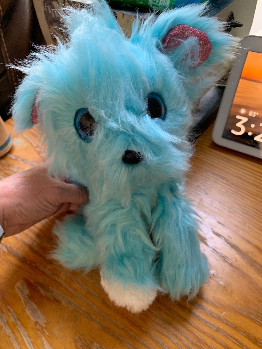 Scruff Luvs Blue Dog. Completely Restored - Etsy