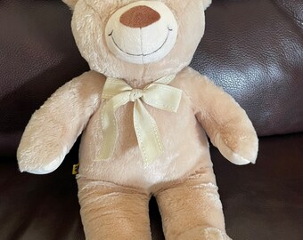 Build a Bear beary Fairy Pastel Rainbow Teddy Bear Plush - Etsy