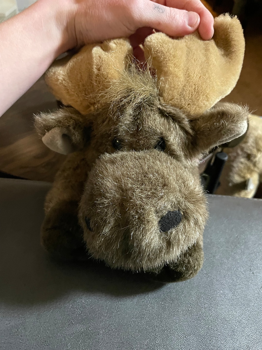 Aurora Moose Plush - Etsy