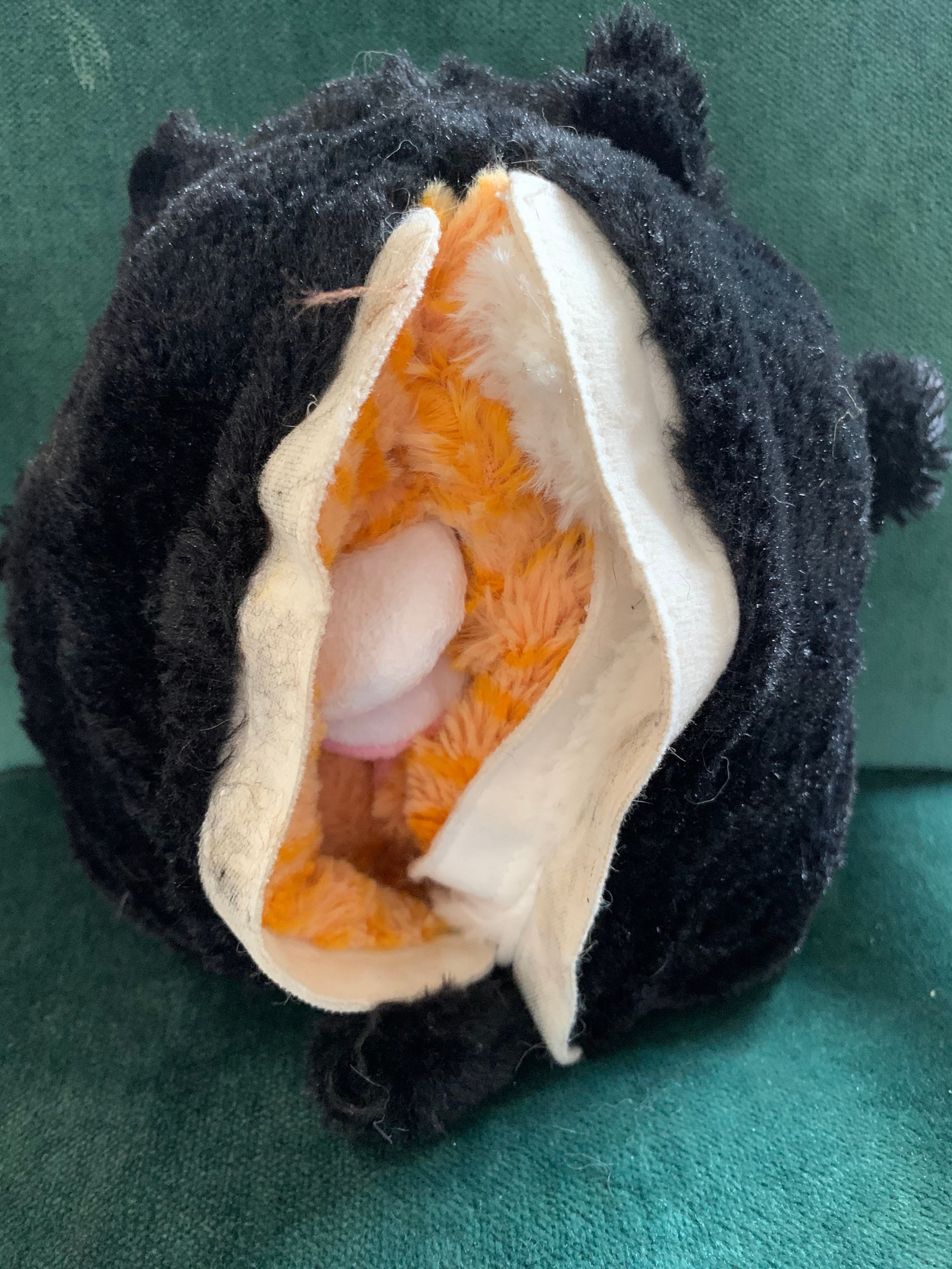 Pop Out Pets 3 Cat Plush - Etsy