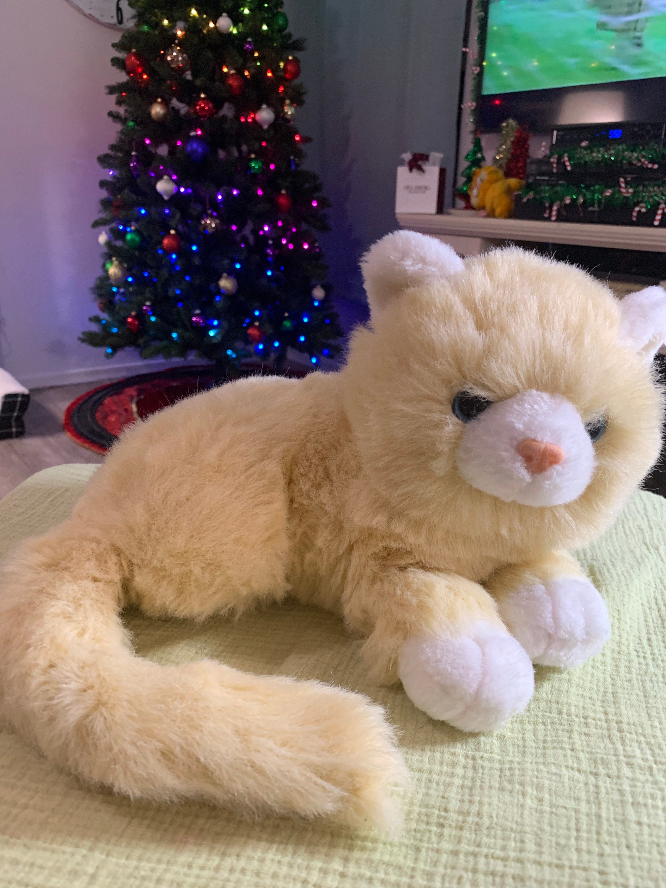 Blue Kitty Plush - Etsy