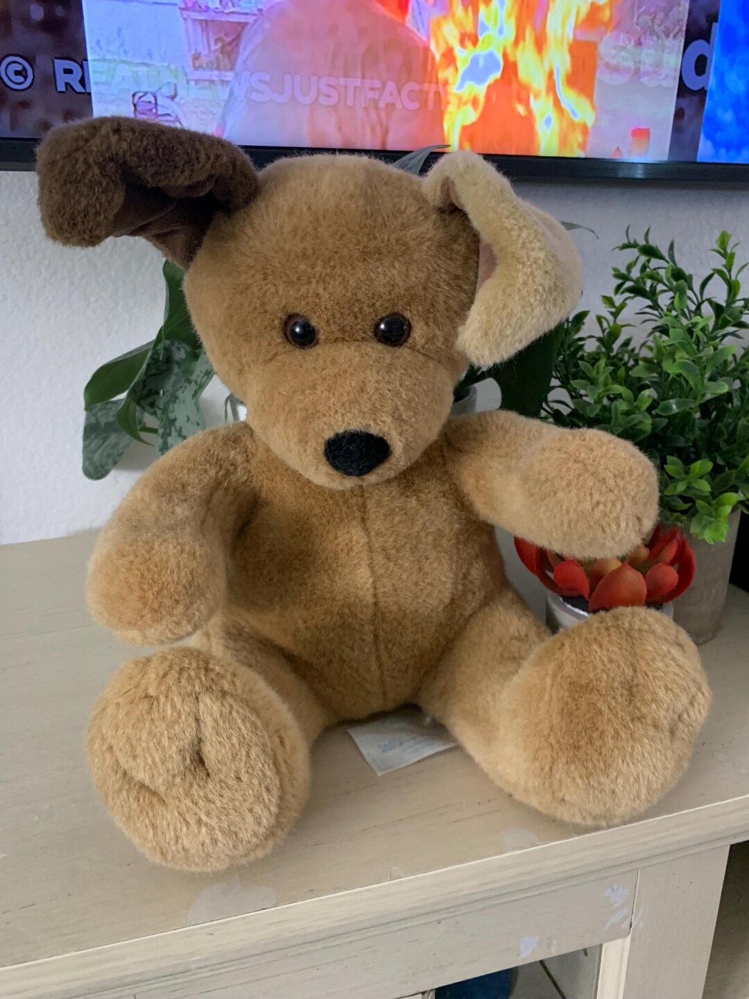 Build-a-bear Brown Sugar Puppy Dog Plush With One Dark Brown Ear. - Etsy