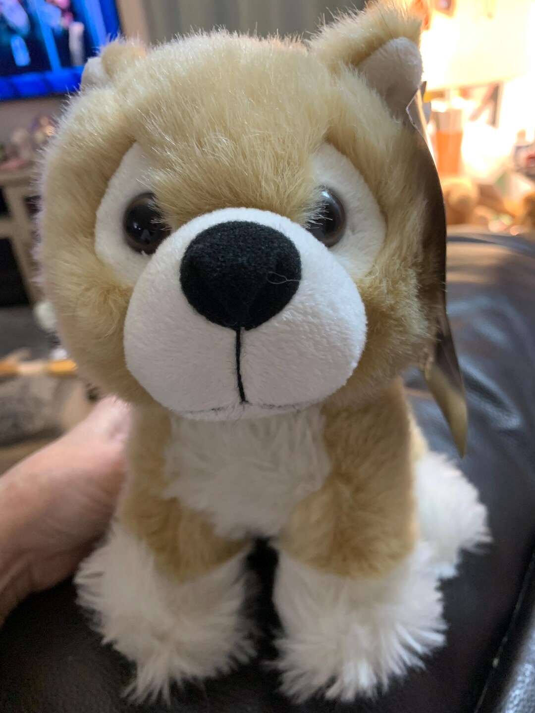 Game of Thrones Direwolf Summer Cub Stuffed Animal. New With Tags Etsy UK
