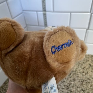 Build A Bear Charmin Teddy Bear Plush - Etsy