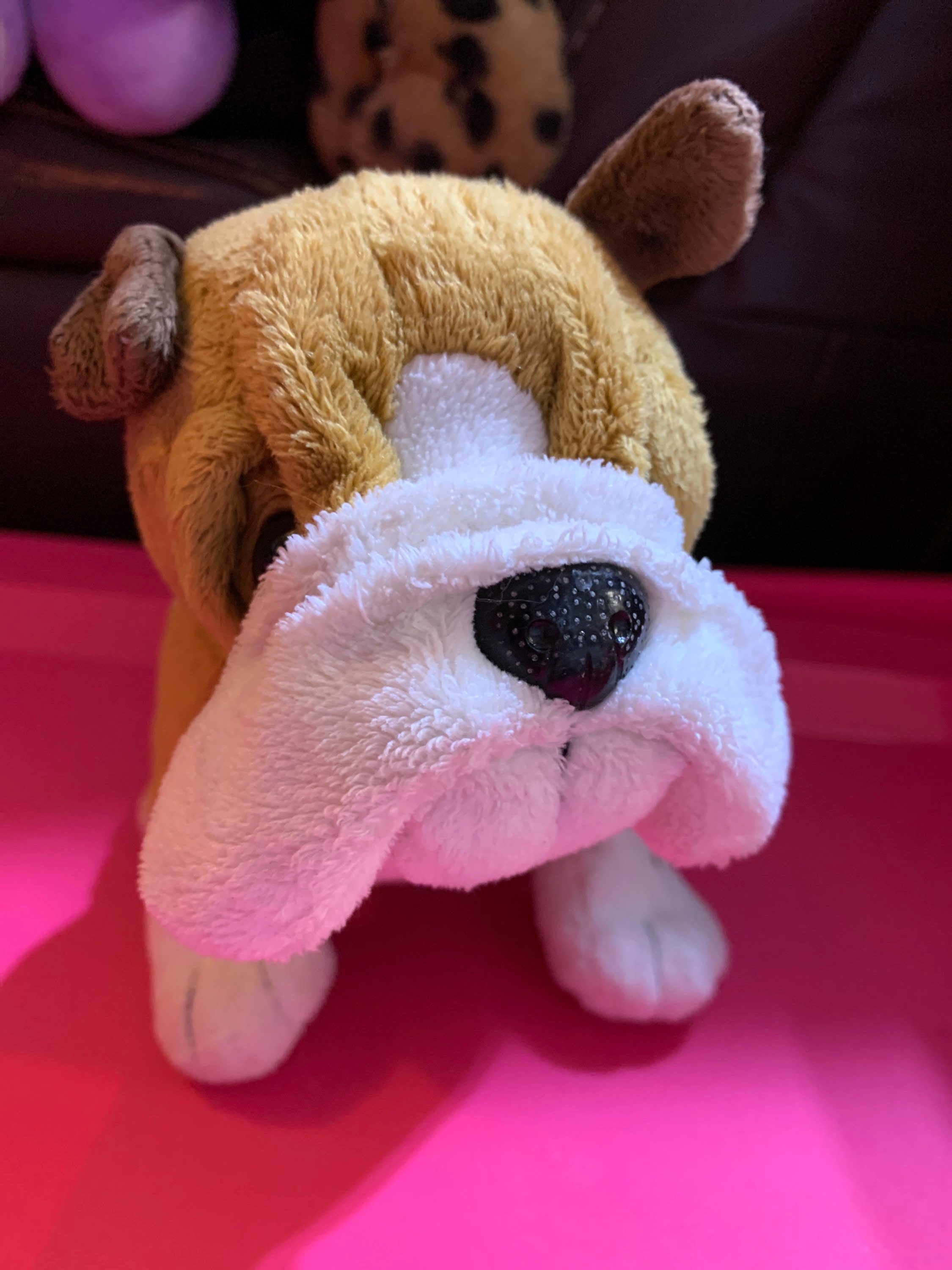 Webkinz Bulldog