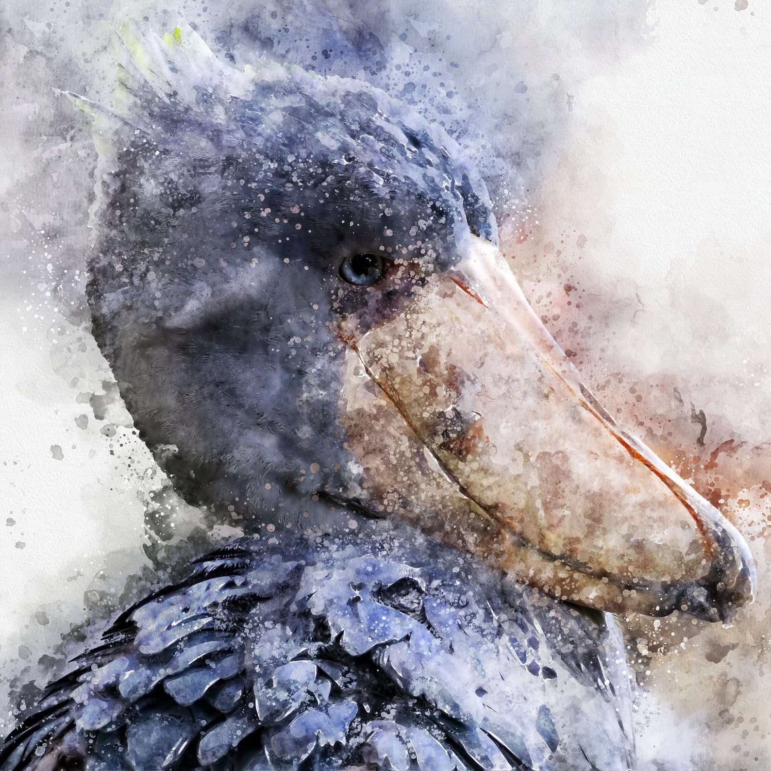 Shoebill Stork Watercolor Painting Canvas Print Shoebill Stork | Etsy