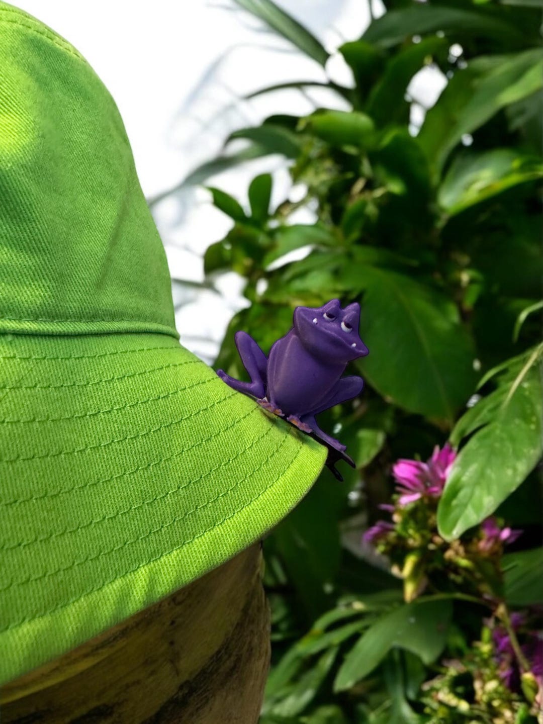 Magic Frog Sprout! GWN Inspired! - Etsy