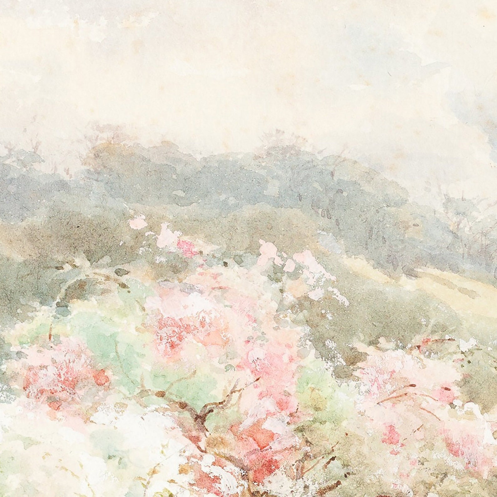 Vintage Spring Landscape Prints Field With Flowers Farmhouse - Etsy