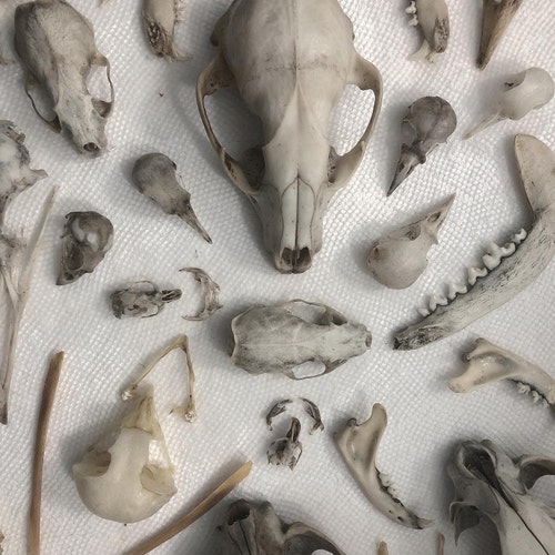 necromantick - Etsy