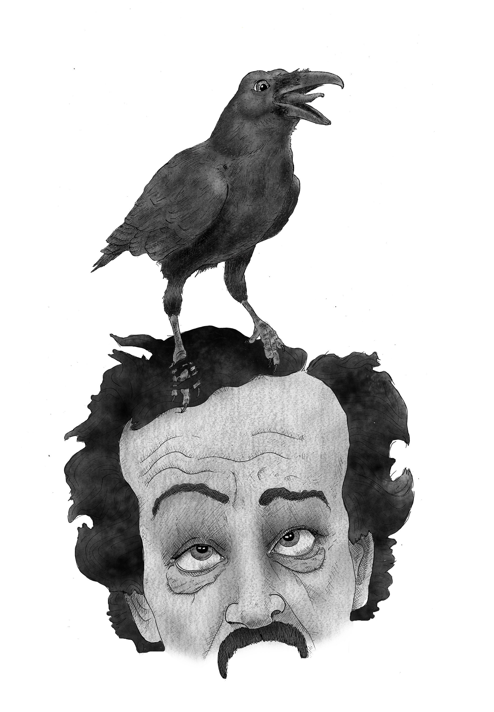 Edgar Allan Poe the Raven Humorous Art Print - Etsy UK