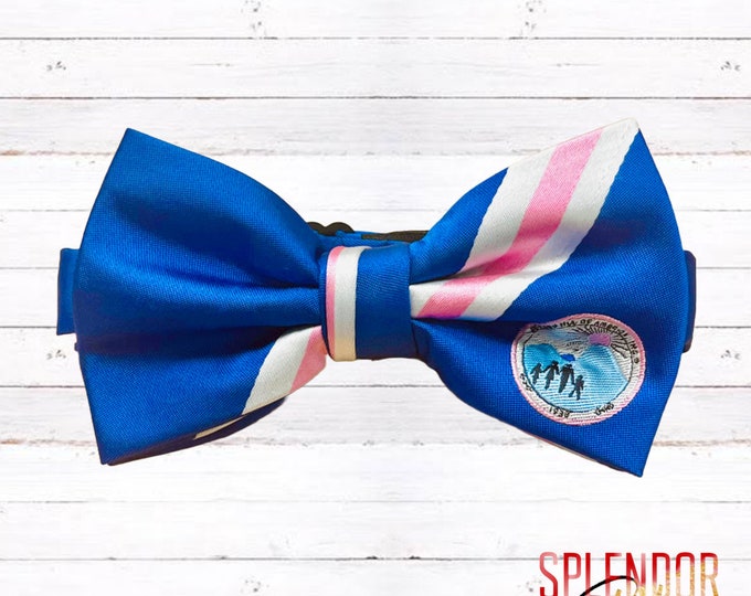Jack and Jill of America Logo Branded Royal/pink Stripe Pre-tied Men’s ...