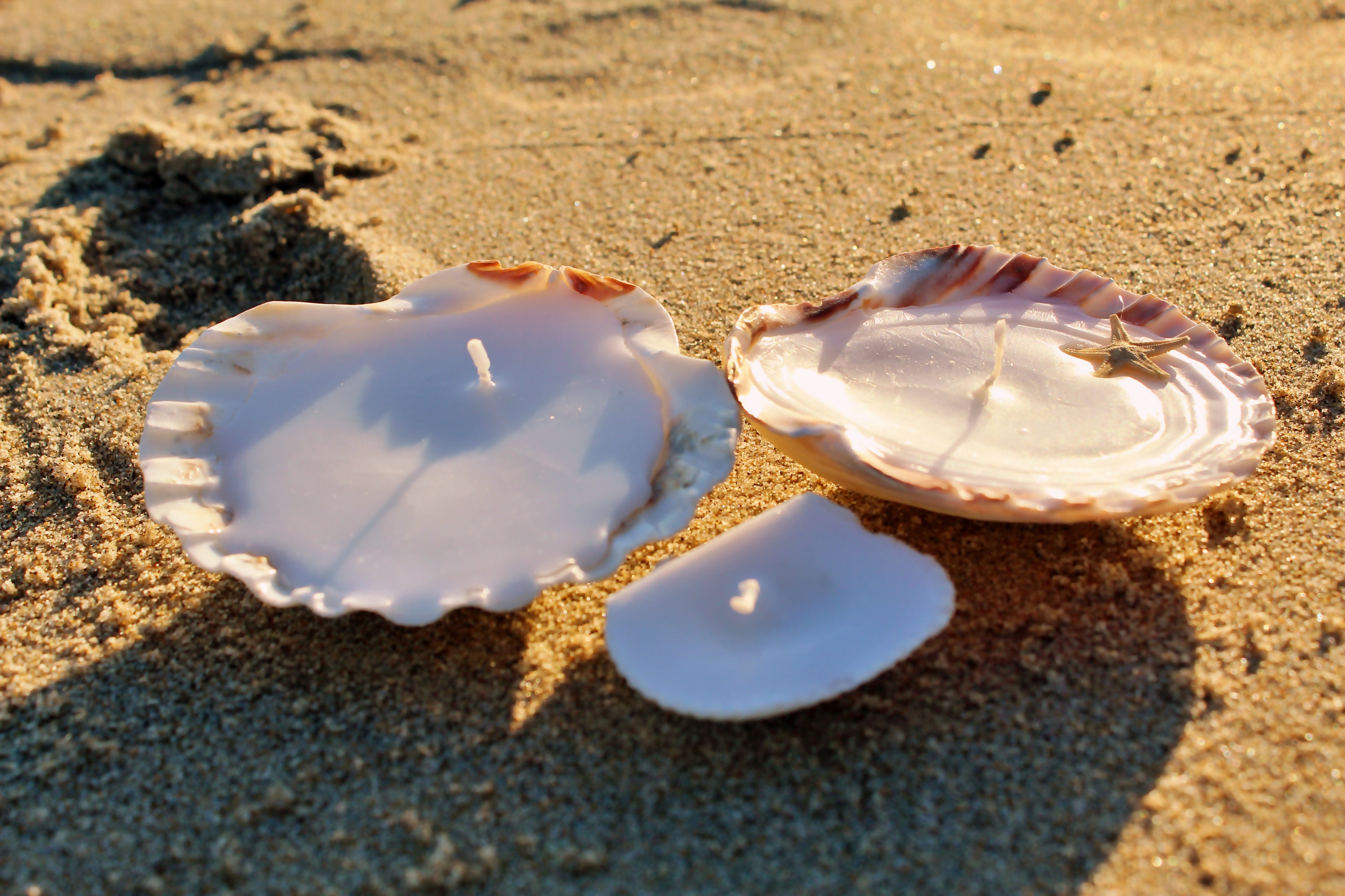 Decorative Shell Candles - Etsy