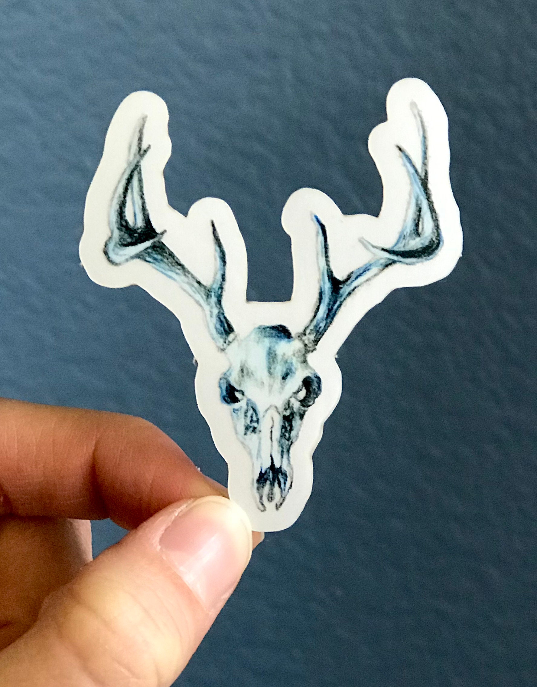 Deer Skull Antler Sketch Sticker - Etsy