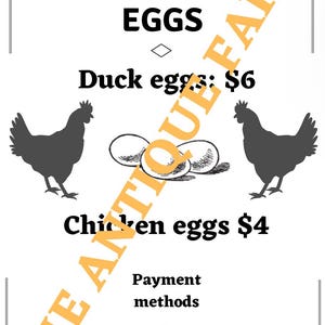 Chicken and Duck Egg for Sale Sign With Instructions - Venmo, Cash App ...
