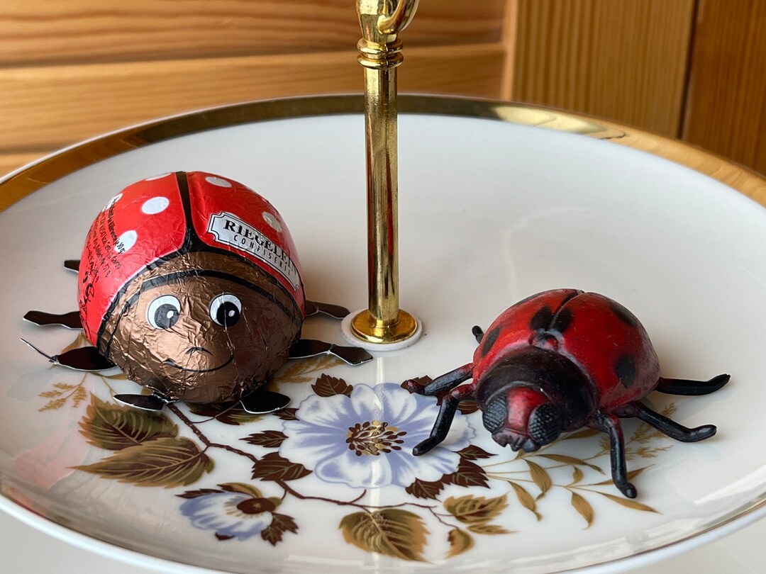 Ladybug Lady Bug Rubber Old Special Large Eye-catcher Lifelike ...