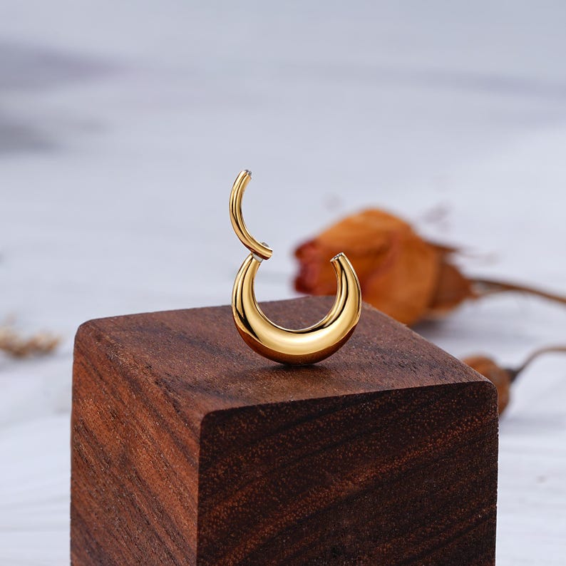 16G 14G Fat Septum Ring/cartilage Earring/helix Earring/daith Piercing ...