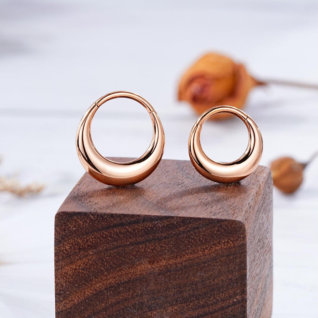 16G 14G Fat Septum Ring/cartilage Earring/helix Earring/daith Piercing ...