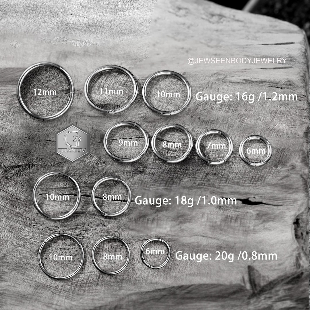 16G 18G 20G G23 Titanium Hinged Segment Ring/nose Ring Hoop/septum Clicker/daith Hoop/seamless ...