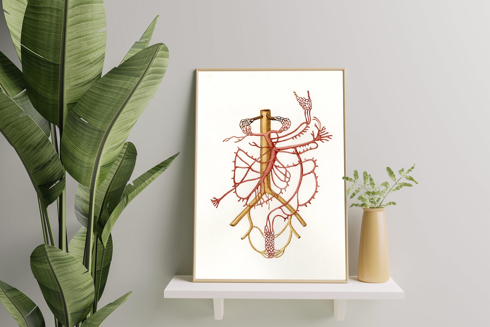 Blood Vessels Art Human Body Art Human Organs Anatomy - Etsy
