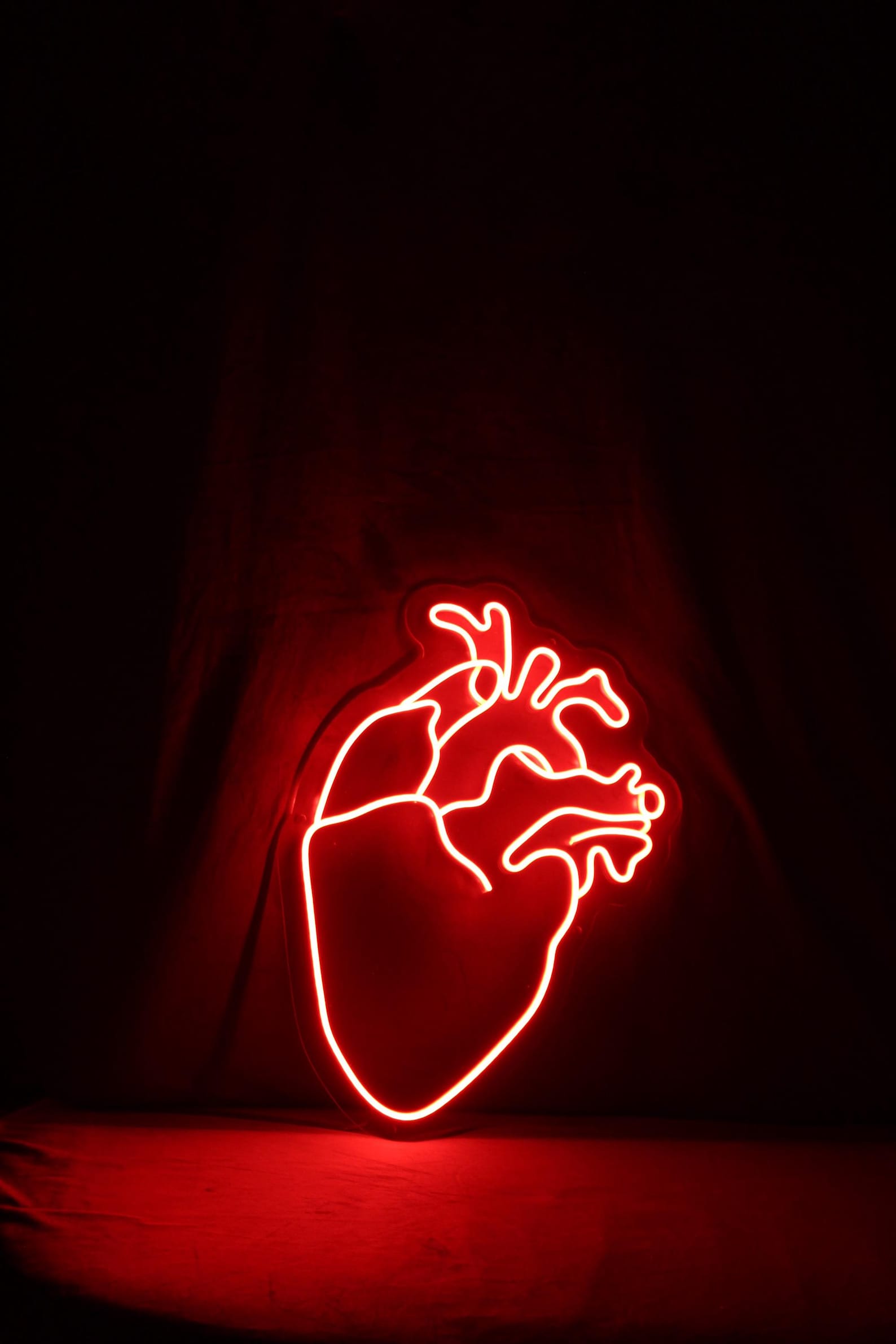 Human Heart Neon Sign – Anatomical LED Wall Art for Home, Office, or ...
