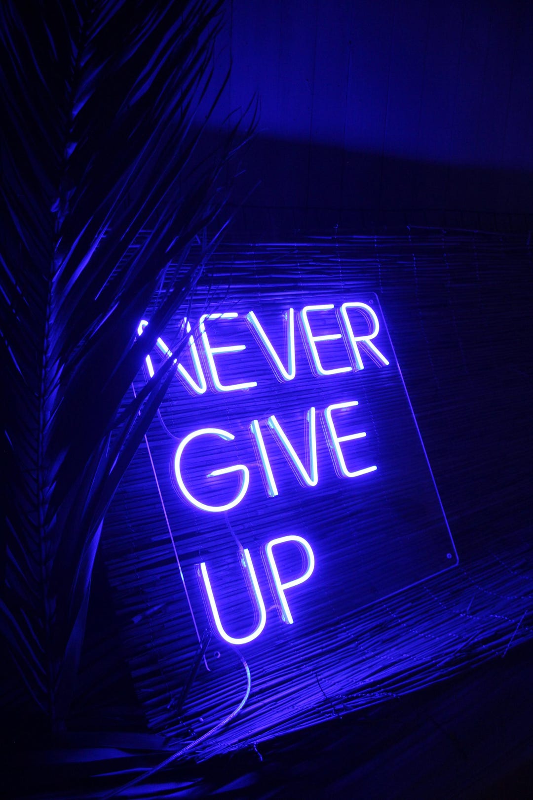 Never Give up Neon Sign, Custom Motivational Quotes Neon Light Sign ...