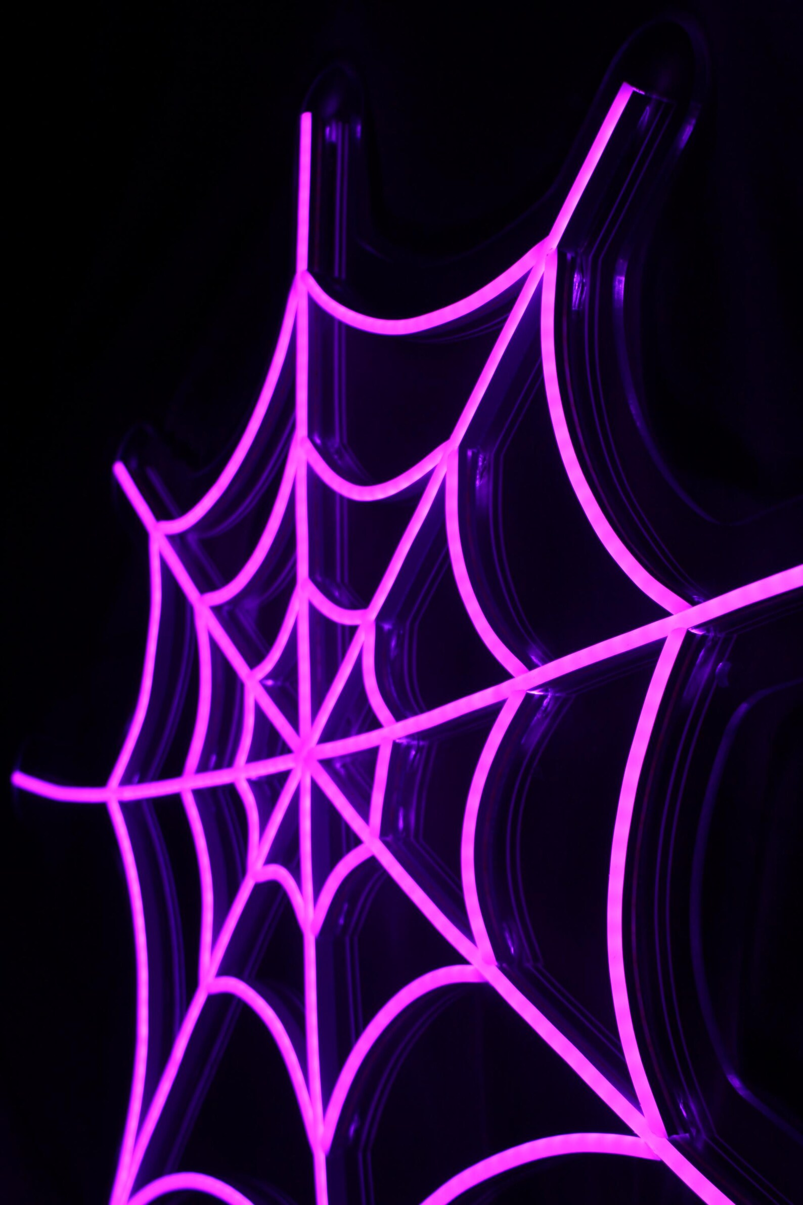 Spider Web Neon Sign, Halloween LED Light, Wall Art Decor, USB Powered ...