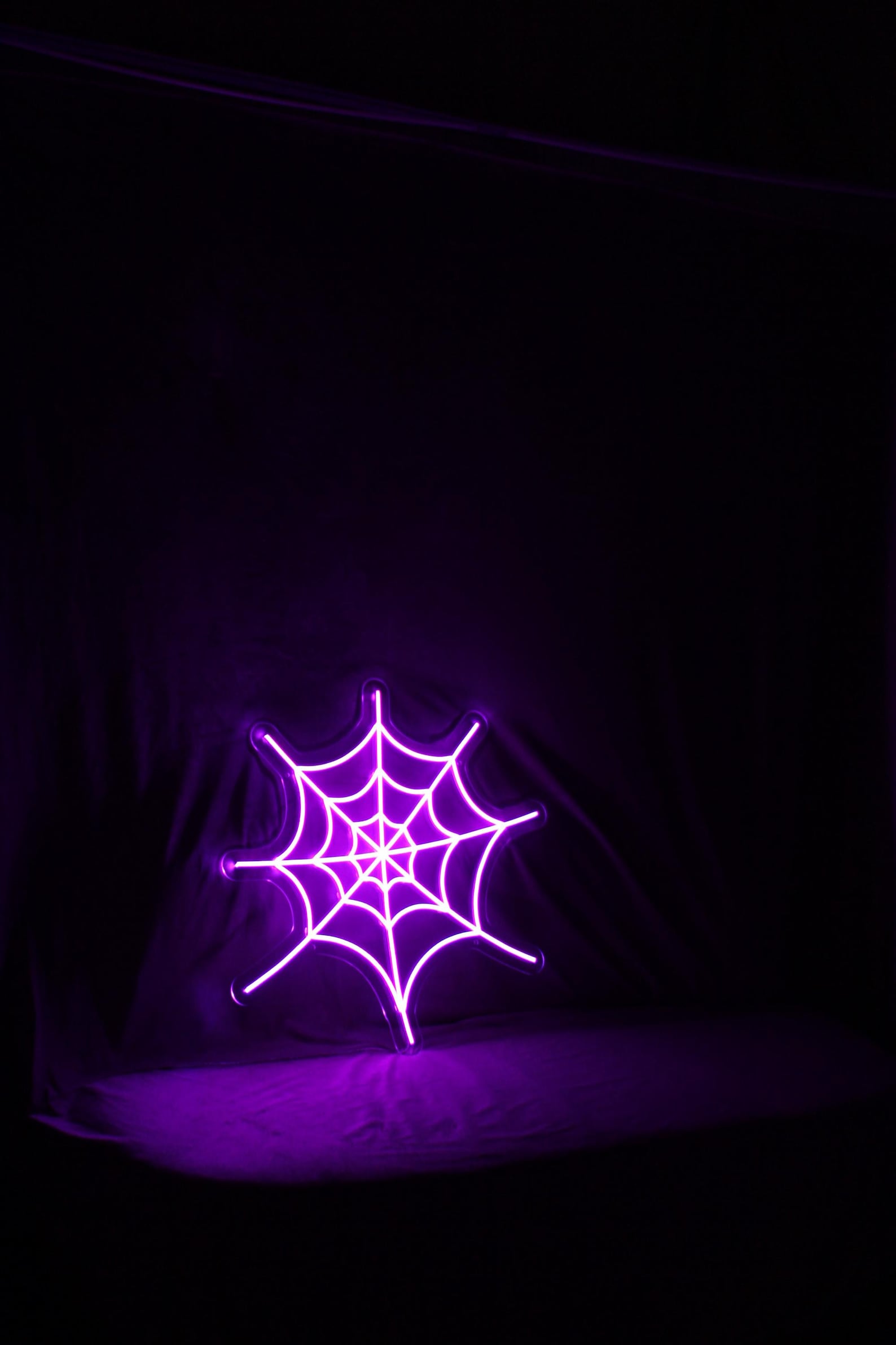 Spider Web Neon Sign, Halloween LED Light, Wall Art Decor, USB Powered ...