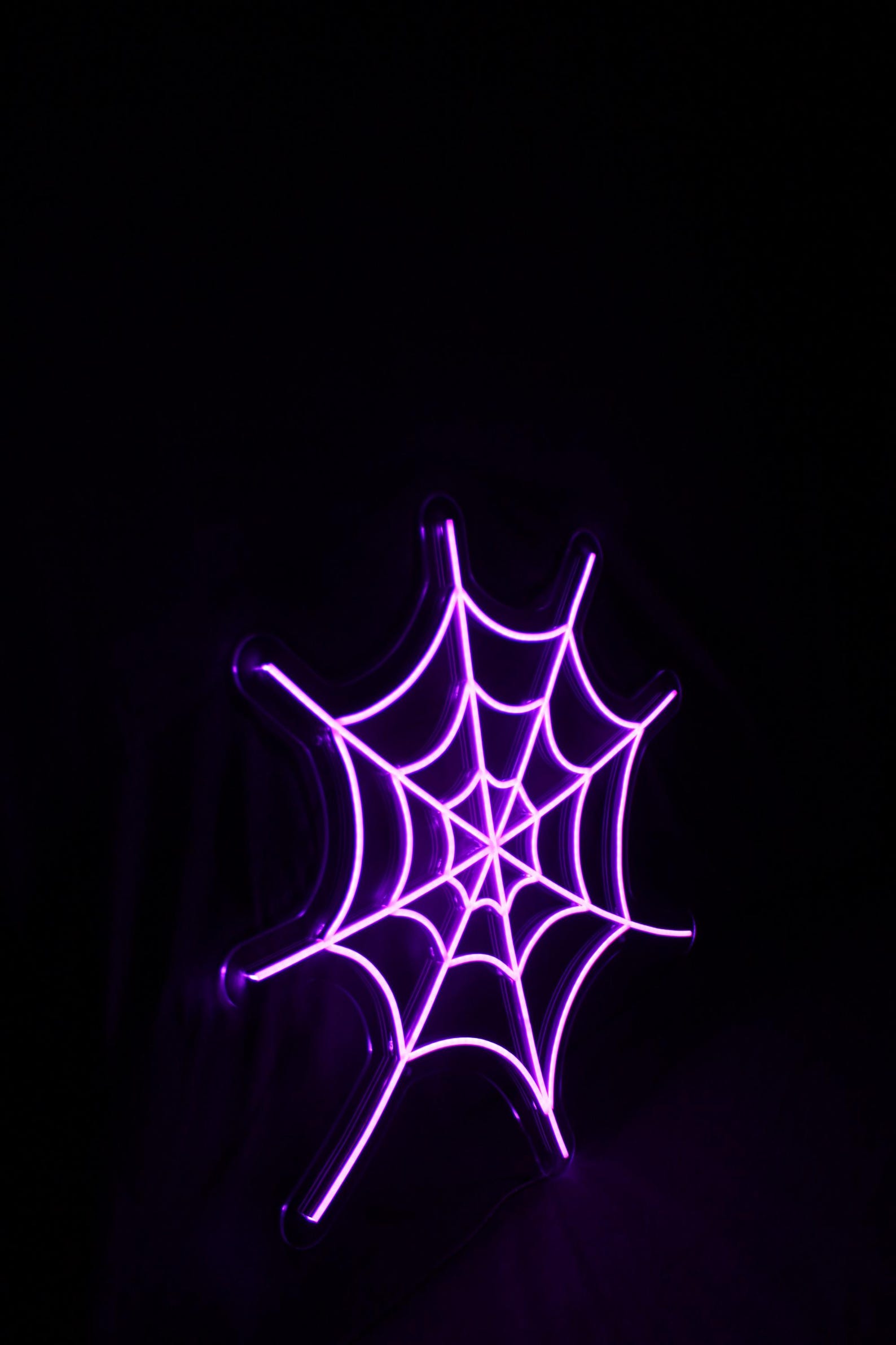 Spider Web Neon Sign, Halloween LED Light, Wall Art Decor, USB Powered ...