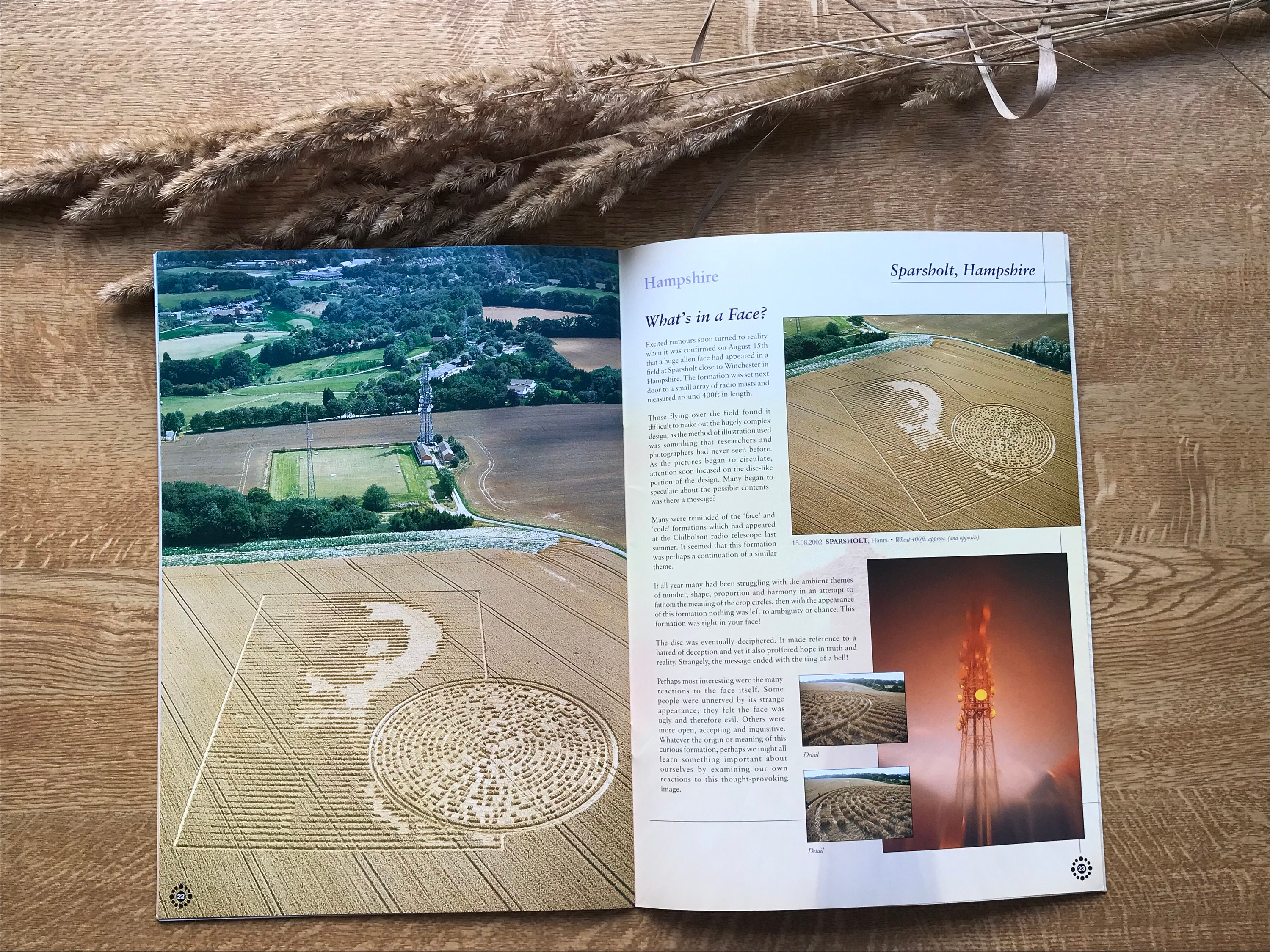 Crop Circle Designs Meanings