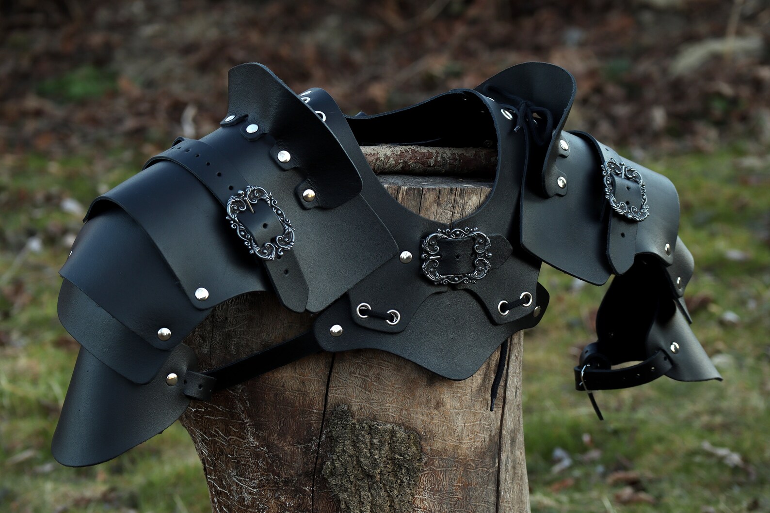 Pauldrons With Gorget Rogue Armor Set - Etsy Canada