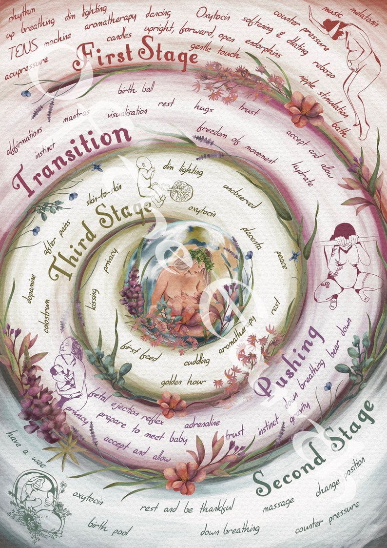 Birth Stages Map Art Print A4 A3 - Etsy