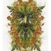 GREEN MAN Art Print, Oak King Illustration, Pagan Mythology, A3, A4, 5 ...