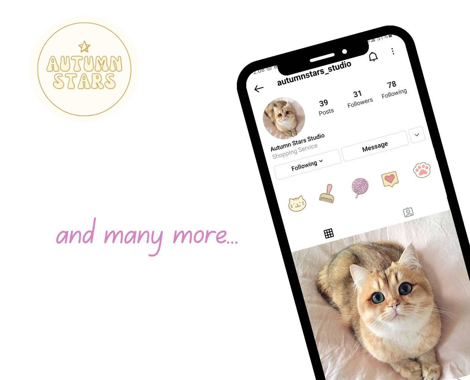 100 CUTE CAT Instagram Story Highlight Covers, Cats Icons, Pastel Cat ...