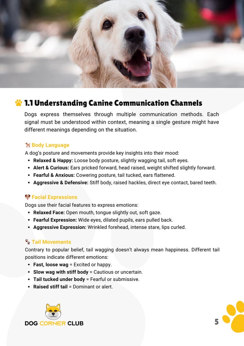 Dog Body Language Ebook | Understand Your Dog’s Behavior & Signals ...