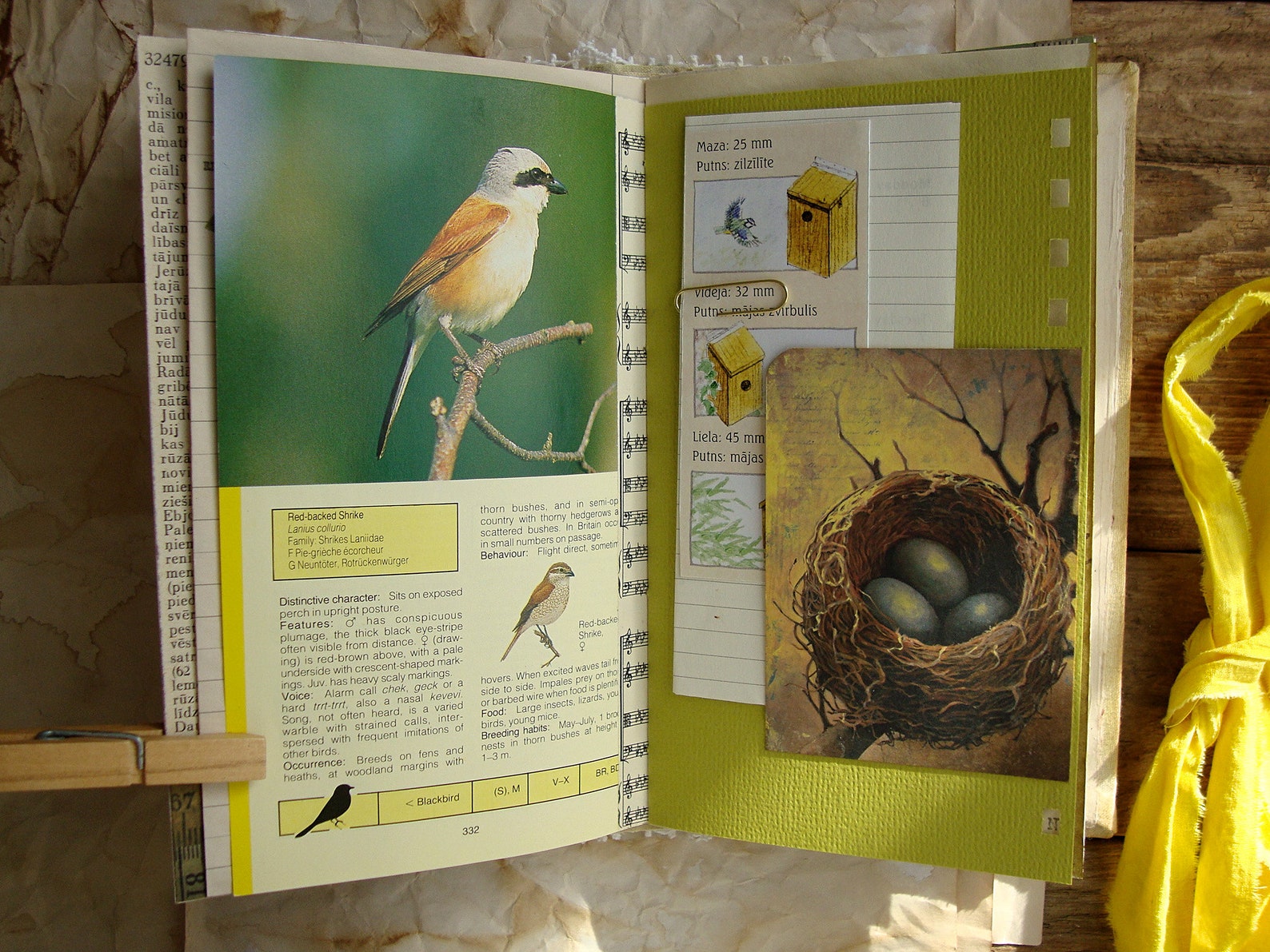 Spring Themed Junk Journal Hard Cover Handmade Junk Book - Etsy