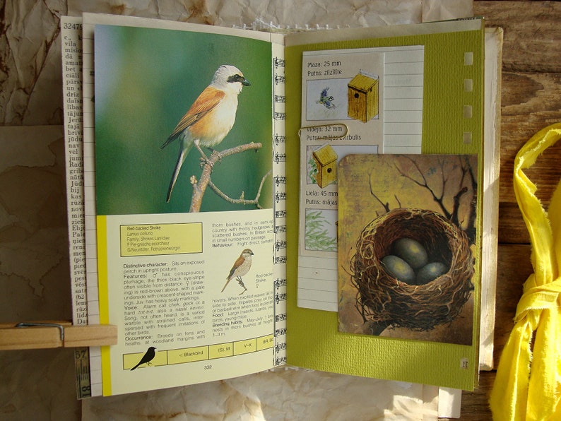 Spring Themed Junk Journal Hard Cover Handmade Junk Book - Etsy