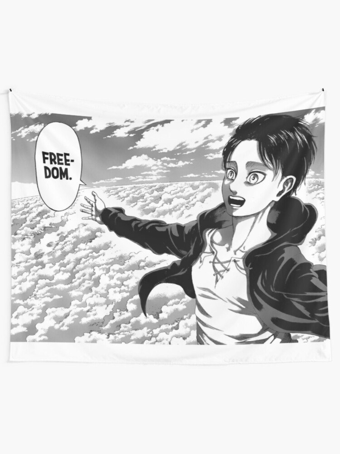Eren Jaeger Freedom Panel Tapisserie murale, Hajime Isayama Wall ...
