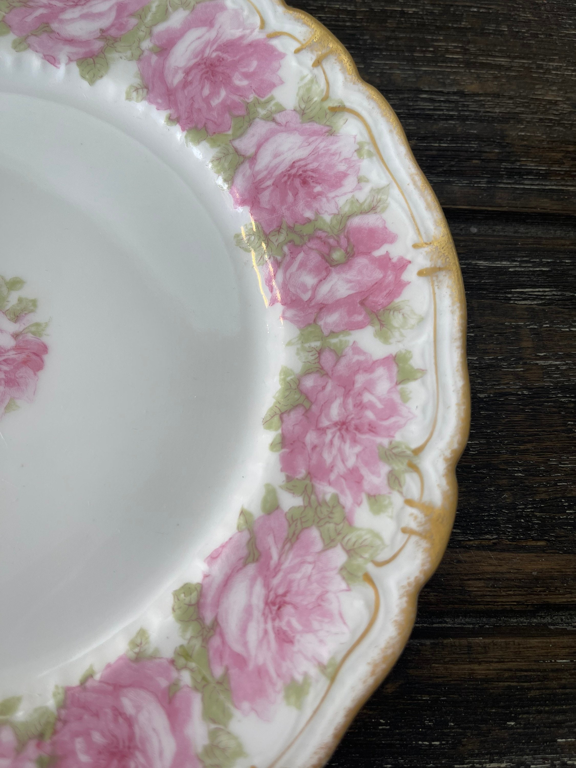 EXTREMELY RARE Antique Haviland Limoges Scheringer 55. - Etsy