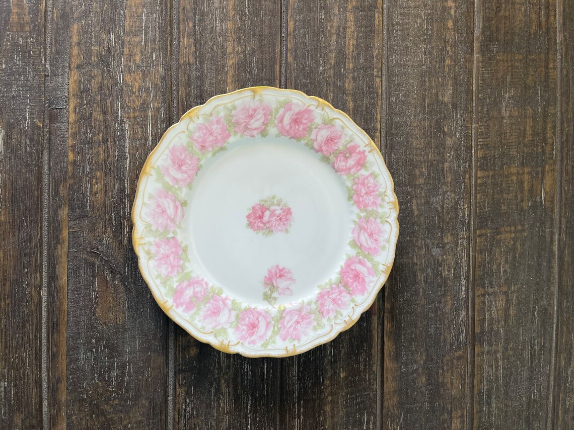 EXTREMELY RARE Antique Haviland Limoges Scheringer 55. - Etsy