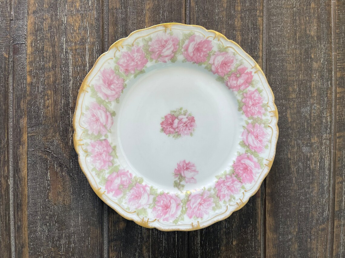 EXTREMELY RARE Antique Haviland Limoges Scheringer 55. - Etsy