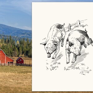 Farm Animals, Blank Greeting Card, Pigs, Barnyard, Animal Illustration ...