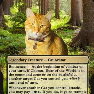 Custom Holographic MTG Cards! ! ! - Etsy