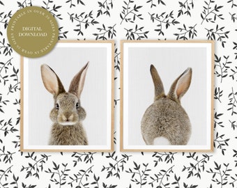 Nursery Wall Art Decor, Set of 2, Bunny Rabbit, Nursery Animal Prints ...